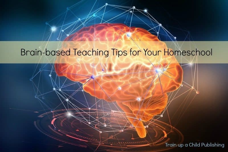 Train Up a Child Publishing | Brain-based Teaching Tips for Your Homeschool